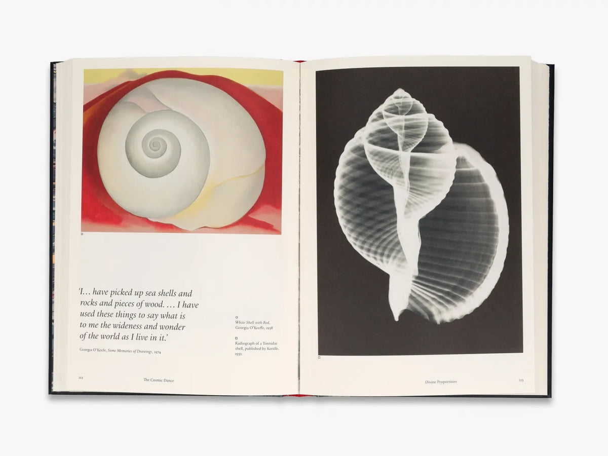 Stephen Ellcock, The Cosmic Dance – Claire de Rouen