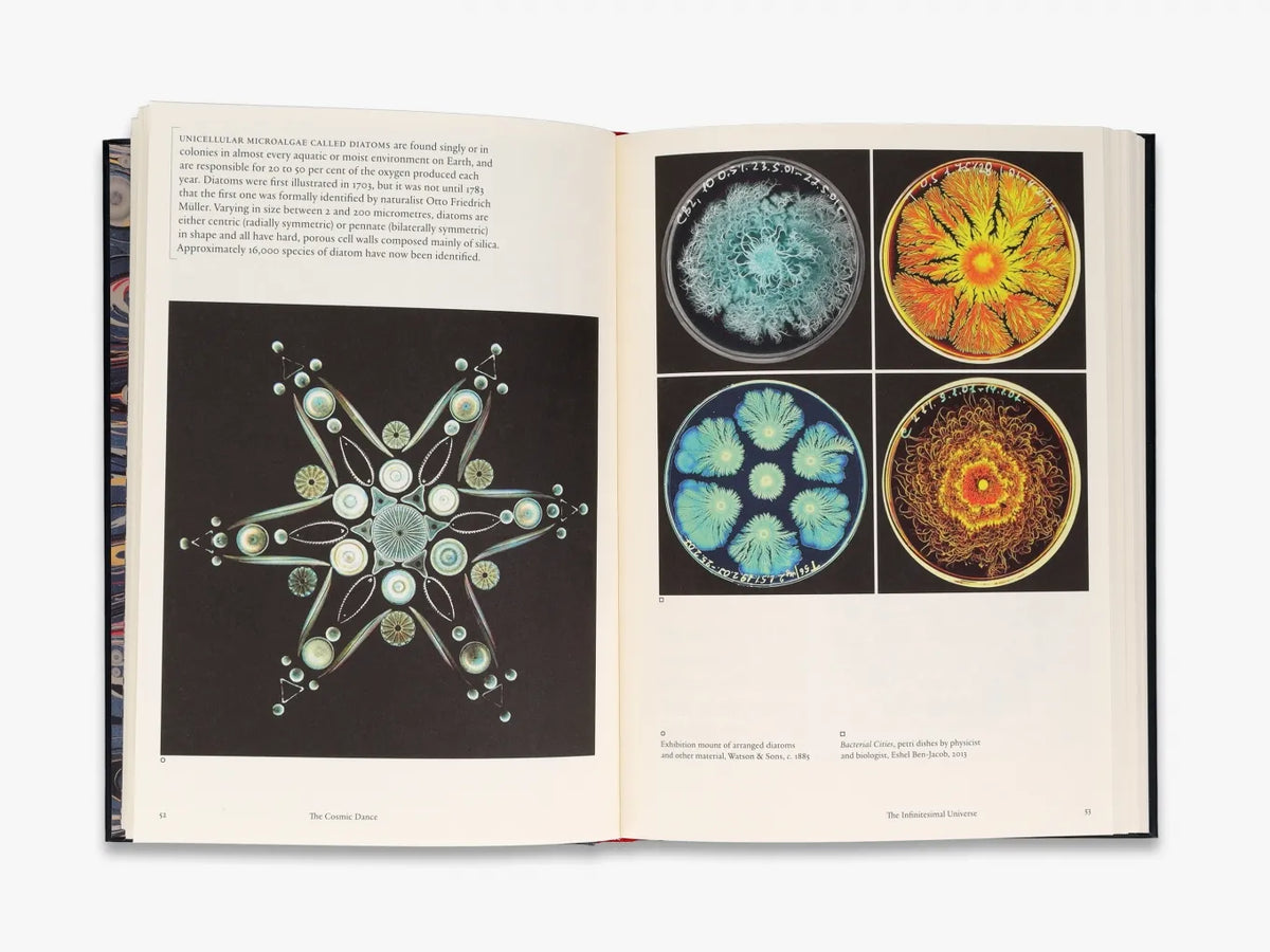 Stephen Ellcock, The Cosmic Dance – Claire de Rouen